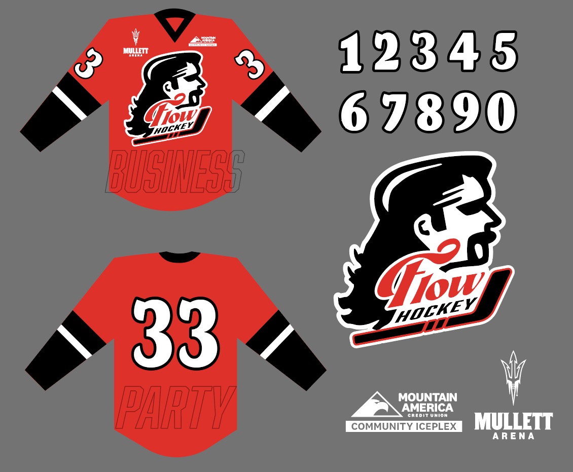 Mullett Arena Flow Hockey