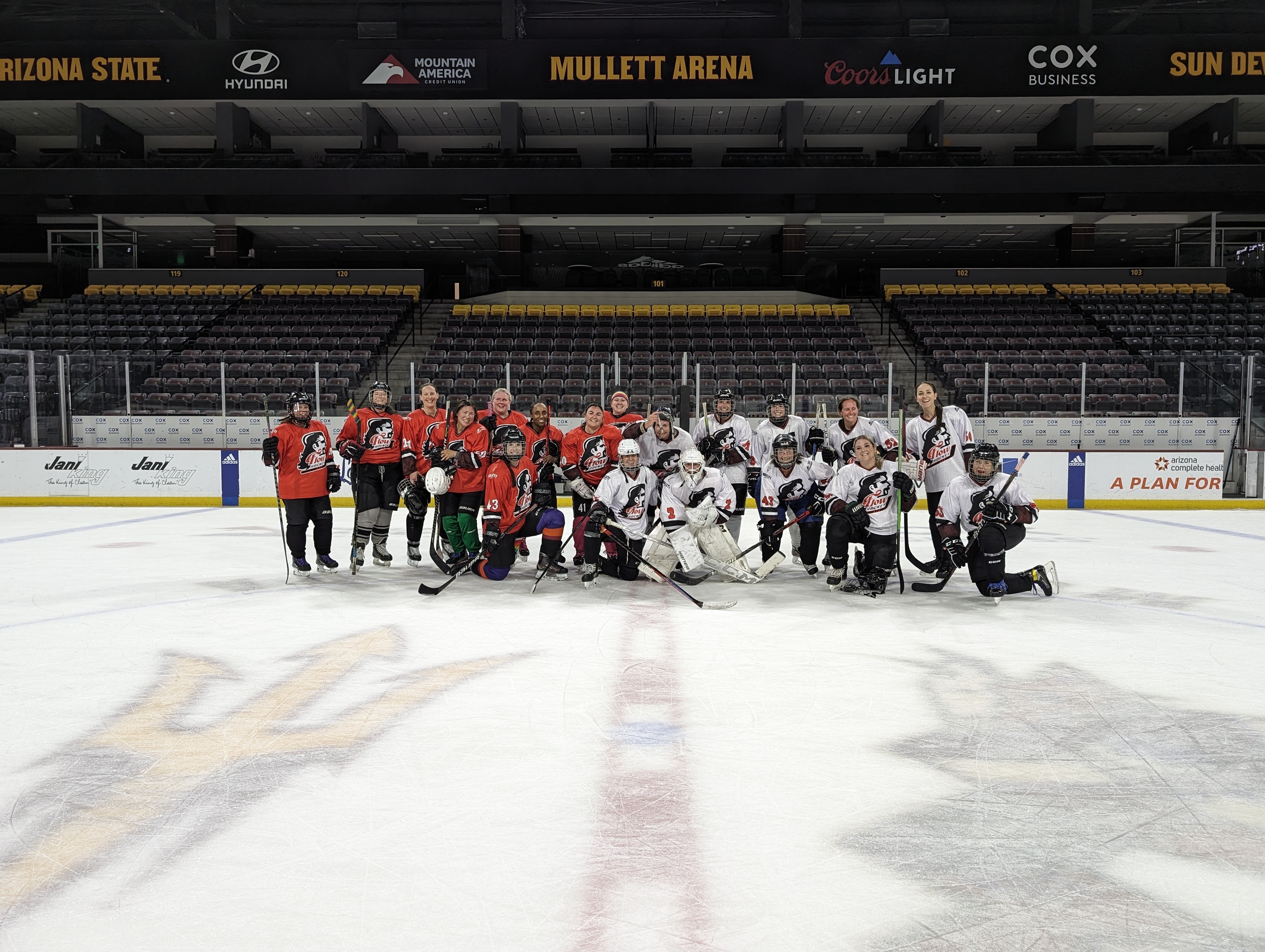 Mullett Arena Flow Hockey
